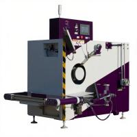 China Automatic PP Motor Coil Winding Machine with PLC Control 500mm Max Diameter 2kW Power for sale