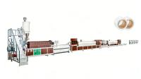 China Heavy Duty Strapping Extrusion Equipment 150kg H Twin Screw Extruder Precise Control High Speed for sale