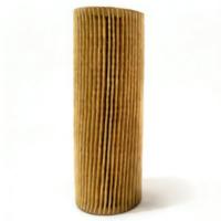 China FL2062 FL2062A FT4Z6731A KU2Z-6731-A for F150/Lincoln Oil Filter OE 1121840025 New 6 Month Warranty for sale