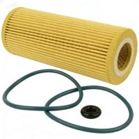 China FL2062 FL2062A FT4Z6731A KU2Z-6731-A for F150/Lincoln Oil Filter OE 1121840025 New 6 Month Warranty for sale
