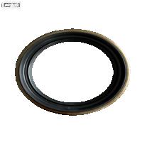 China Oil Seal AI Model 8T3007 OE 1383129 1502384 8T3007 for sale