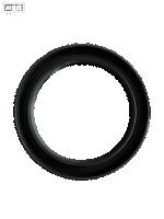 China Oil Seal AI Model 8T3007 OE 1383129 1502384 8T3007 for sale