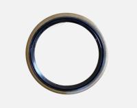 China Oil Seal for Cars New 6 Months Warranty ARESMRON Brand OE 29952 10128577 10082328 10082331 for sale