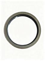 China Oil Seal OE 5183045200 for Hyundai Truck for sale