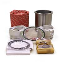 China New ARESMRON Cylinder Liner Kit OE 04013-1110 From GUANGDONG for sale