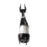 China New High Quality Steel Shock Absorber OE 1663202513 Front Left for Mercedes-Benz GL-Class/GLS (X166) 2011- for sale