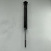 China High Quality GSZ 48530-80123 Shock Absorber for Crown Rear Optimal Comfort Safety Car Shock Absorber for sale