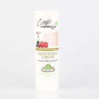 China Special 30ml 50ml 100ml 120ml plastic body lotion facial cleanser squeeze cosmetic soft tube packaging for sale