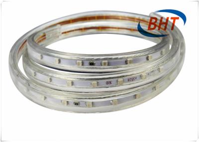 China Industrial Waterproof Led Strip Lights Remote Control 12v 600LM With Power Cord for sale