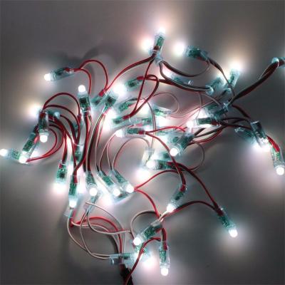 China IP68 Water Proof through hole led light pixel 5v and 3w 1914/2811/1903 IC for sale