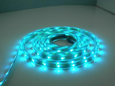 China RGBW RGBWW 5m RGB Led Strip Lights Waterproof 5050 SMD 60 Led / M Full Color for sale