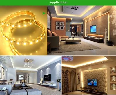 China Holiday Garden Home Xmas Decoration RGB LED AC220V SMD 5050 Waterproof for sale
