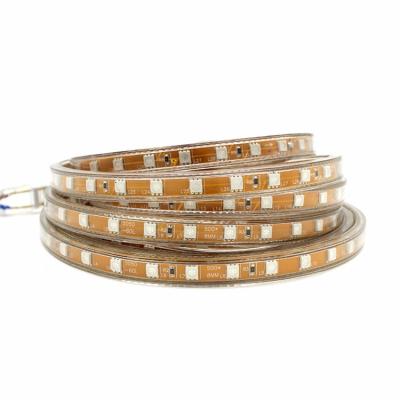 China 220v 5050smd high power led rope/5050 high power led strip light/waterproof soft led ribbion for outdoor and indoor use for sale