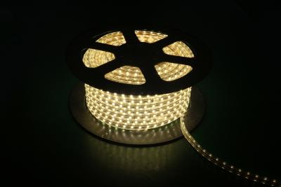 China 50M/ Roll 5050 High Voltage Super Bright Led Strip Lights AC110-220V 2 Years Warranty for sale