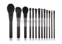 China Luxury Nature Ebony Wooden Handle Nature Hair Makeup Brush Kit for sale