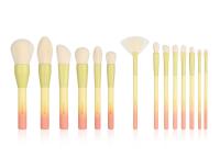 China Vonira 14Pcs/Set Gradient Makeup Brushes Cosmetic Face Eye Shadow Set for sale