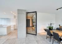 China White Black Aluminium Pivot Doors with Double Glazing and 5-Year Warranty - High Security Custom Sizes for sale
