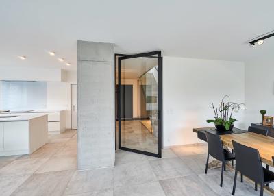 China White Black Aluminium Pivot Doors with Double Glazing and 5-Year Warranty - High Security Custom Sizes for sale