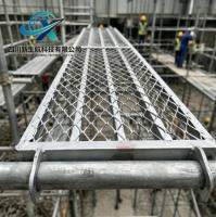 China Q235 Steel Anti Skid Scaffolding Walkboard Customized With Expanded Metal Deck Design for sale