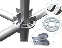 China Hot Dip Galvanized Adjustable Screw Jack U Head Prop For Ringlock Formwork for sale