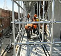 China Hot Dip Galvanized Q235 Ringlock Scaffolding Vertical Standard 48.3mm for sale