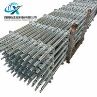 China High Strength Q235 Steel Ringlock Scaffolding Ladder Parts 48.3mm for sale