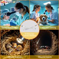 China Industrial and Medical Led Integrated CMOS Endoscope Camera Bare Module for sale