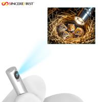 China IP67 720P Sensor OV9734 UVC USB 2.0 Endoscope Camera Module for sale