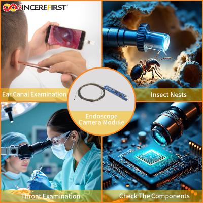 China OCHFA10 CMOS Sensor USB2.0 UVC Driver Free HD Endoscope Camera Module for sale