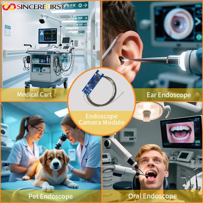 China HD 400*400 Resolution OVM6946 CMOS Sensor USB2.0 UVC Endoscope Camera Module for sale