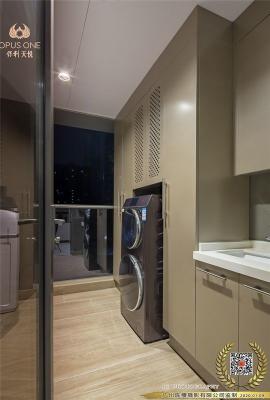 China Beige Matte Stainless Steel Balcony Storage Cabinet with Washer Integration for sale