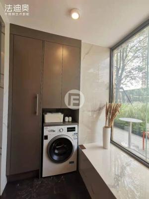 China Rose Gold Stainless Steel Balcony Cabinet with Laundry Sink for sale