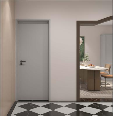 China Starry Grey Stainless Steel Dual Frame Interior Door for sale