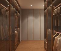 China Steel Elegance Modern Gray Walk-In Closet With Gold Accents for sale