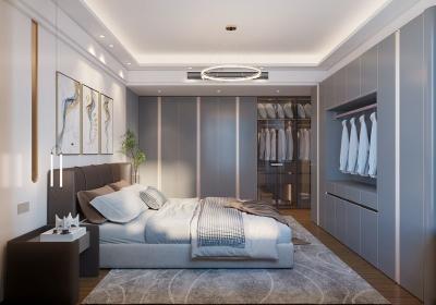 China Gray Stainless Steel Wardrobe with Glass Doors and LED Lighting for sale