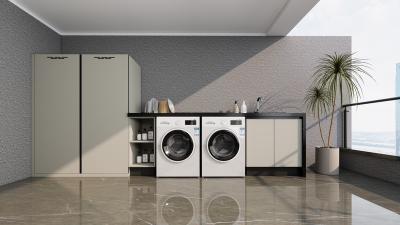 China Beige Stainless Steel Balcony Cabinet With Laundry Integration for sale