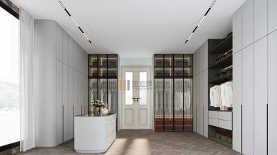 China Matte White Stainless Steel Walk-In Closet with LED Shelves for sale