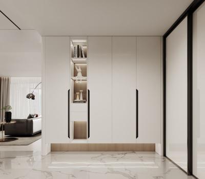 China White Stainless Steel Shoe Cabinet with LED Lighting and Wood Grain for sale