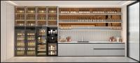 China Stainless Steel Wine Cabinet Modern Design Ample Storage Luxury Aesthetics for sale