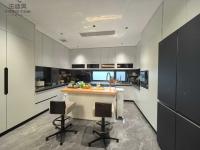 China White Matte Stainless Steel Kitchen Cabinets with Integrated Appliances for sale