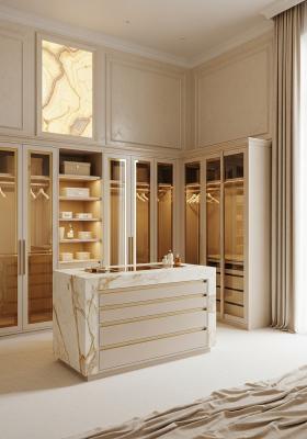 China Golden Mirage Walk-In Wardrobe in 304 Stainless Steel for sale