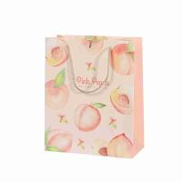 China High End Customized Favor Fruie Printing Gift Bags For Shopping for sale