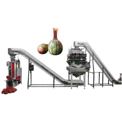 China 0.75kW Mesh Bag Packing Machine 1000-1500 Bags/Hour Electric Power for sale