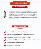 China Industrial Grade UNIVO AST2000-1000Y Pressure Sensor for Gas and Liquid Applications for sale
