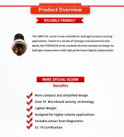 China TE UBM71H2Y EC-79 Mobility Hydrogen Pressure Sensors For Fuel Cell Applications for sale