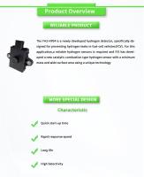 China Fast Start-up Time FIS FH2-HY04Y Hydrogen Cylinder Detection Module for Fuel Vehicles for sale