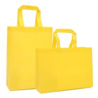 China Handled Style Non Woven Shopping Bags With Custom Logos for Eco Boutique Reusable for sale