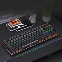 China RGB Backlit 87 Key Private Mold Wired Mechanical Keyboard for PC Computer Game for sale