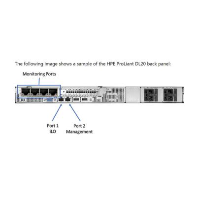 China HPE ProLiant DL20 Gen10 Plus Server with BCM5720 Ethernet 1Gb 2-port BASE-T Adapter 128 GB for sale