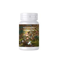 China Multi Collagen Pills 5 Types I II III V X with Hyaluronic Acid Vitamin C 90 Capsules for sale